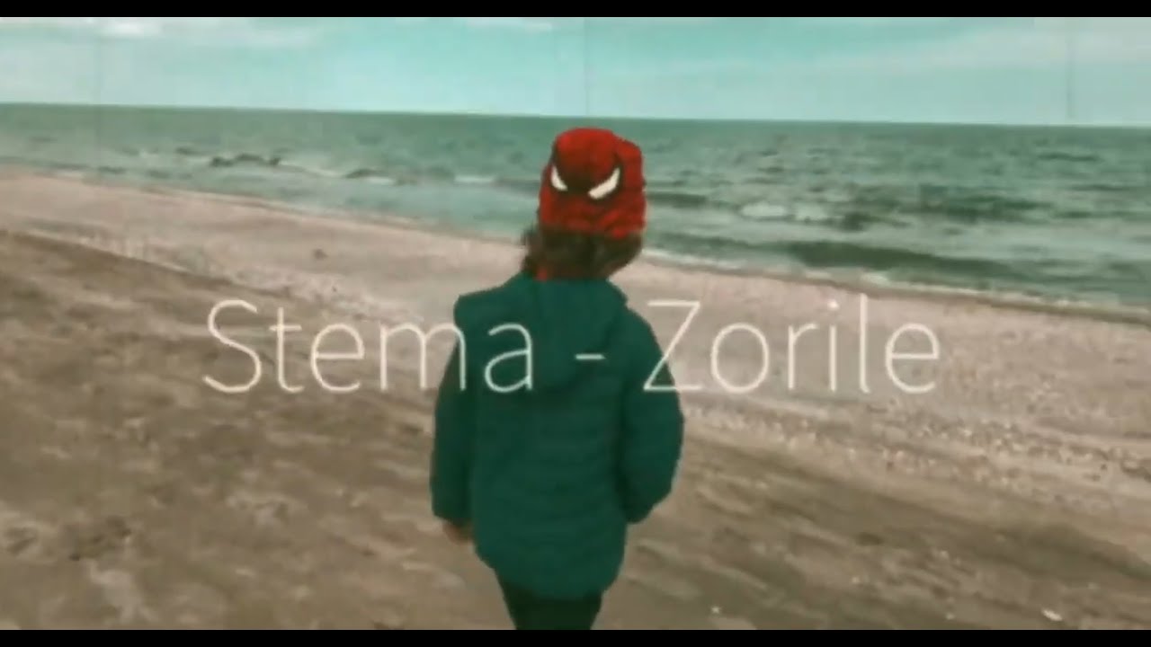 Stema - Zorile - Official Video - YouTube