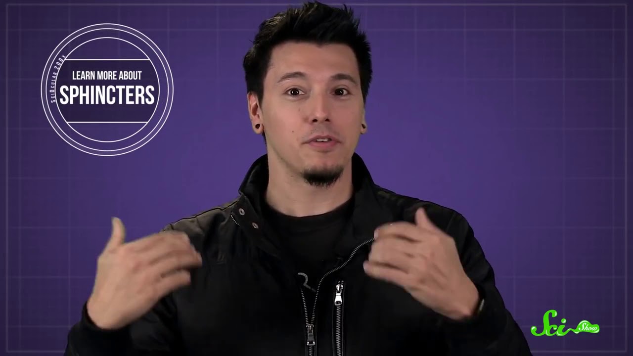What Happens When You Hold Your Pee YouTube what-happens-when-you-hold-your-pee-youtube