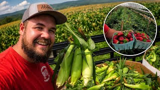 The Side of Vegetable Farming You Never See