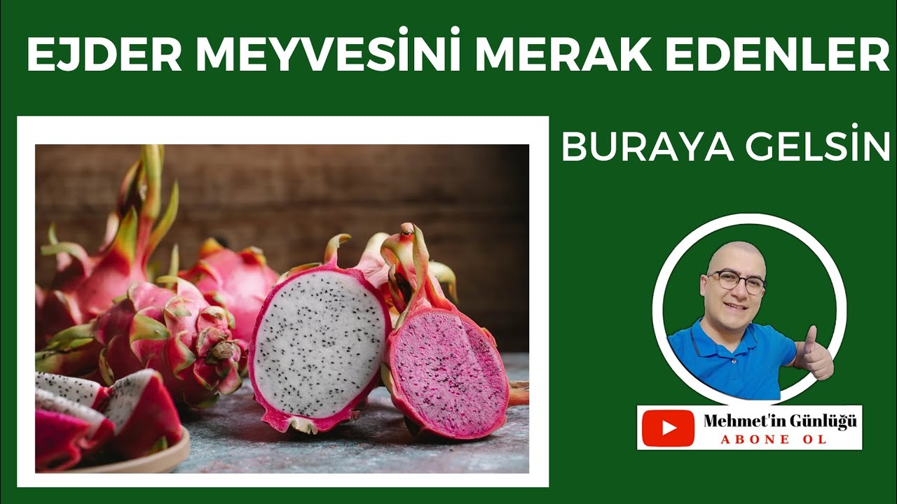 EJDER MEYVESİ NASIL BİŞEY? EJDER MEYVESİ MERAK EDENLER BURAYA? #aboneol #beğen #izle #tbt #love ...