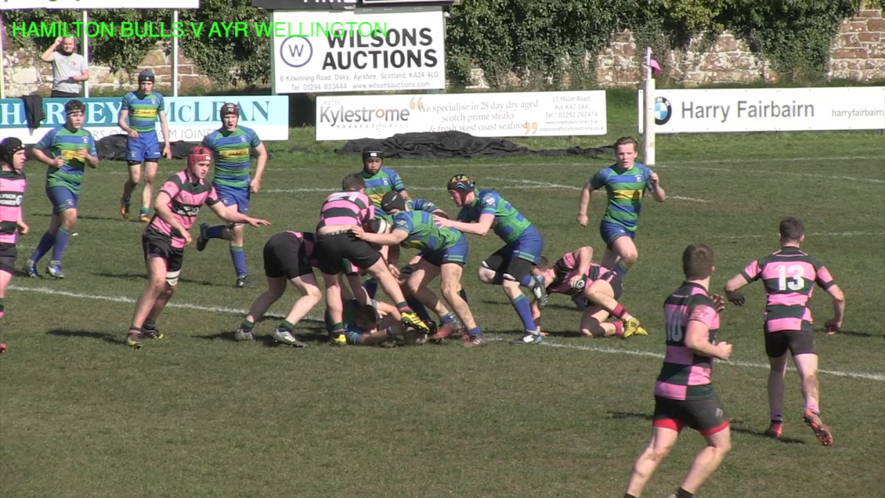 Rugby Shorts - Ayr Wellington v Hamilton Bulls - YouTube