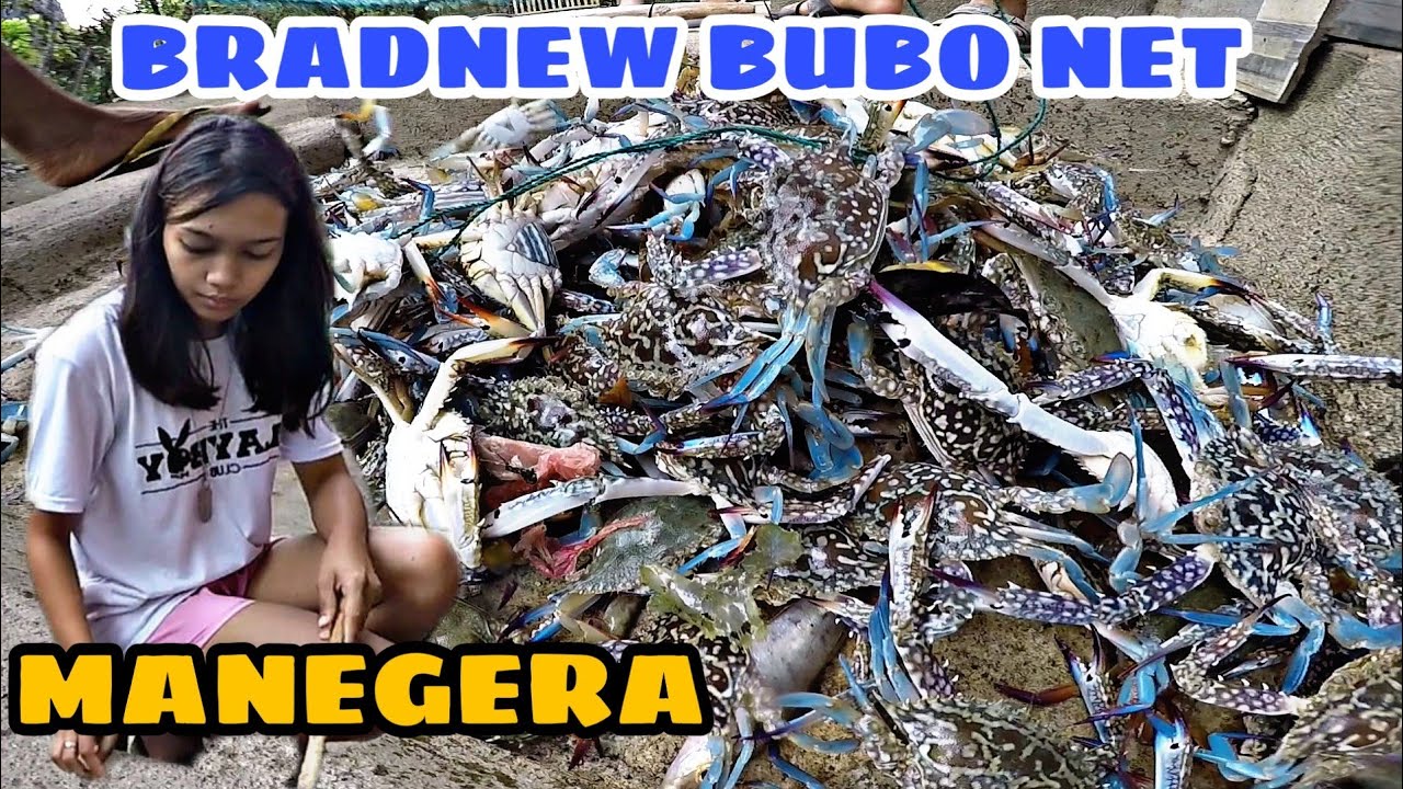 BAGONG BUBO TRAP SA ALIMASAG | NAKARAMI AKO NG HULI - YouTube