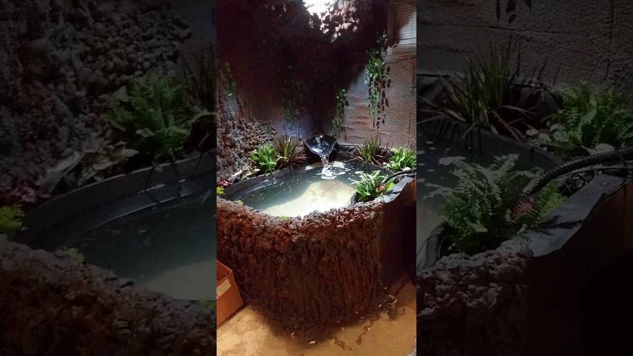 Plants all around cave pond - YouTube