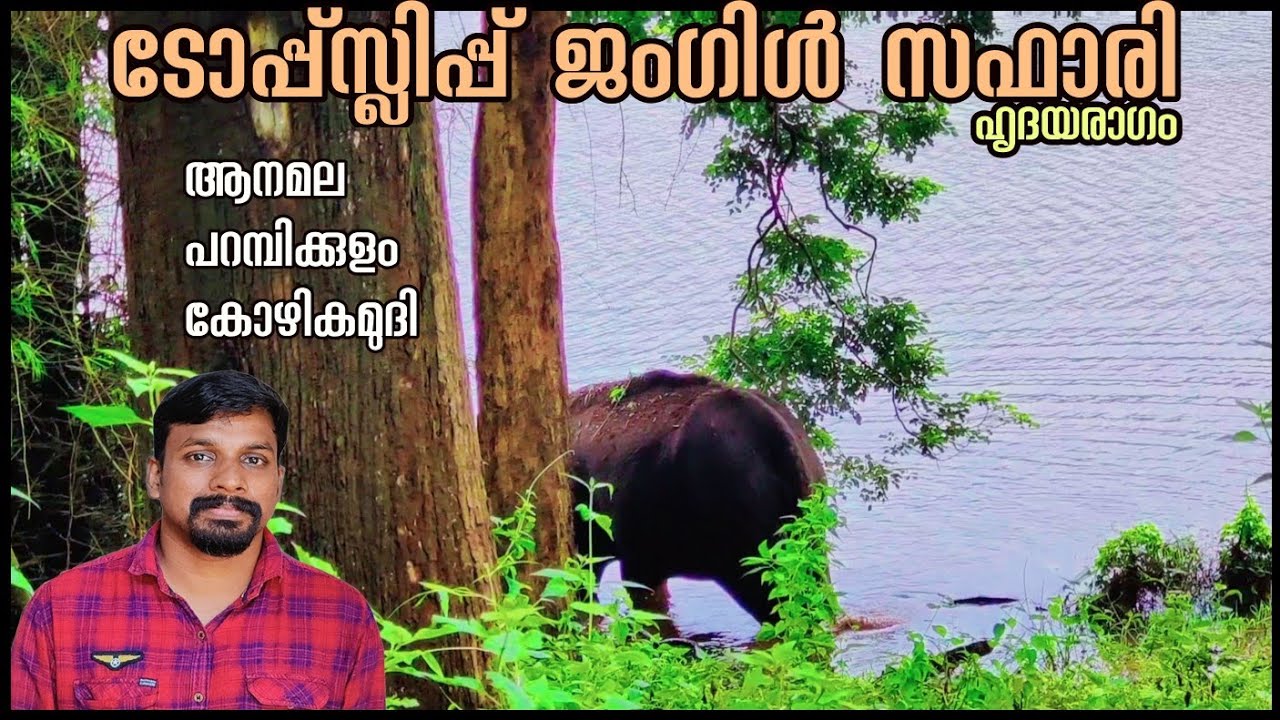 Parambikulam Dam | Topslip Anamalai Tiger Reserve ATR Pollachi, Jungle ...