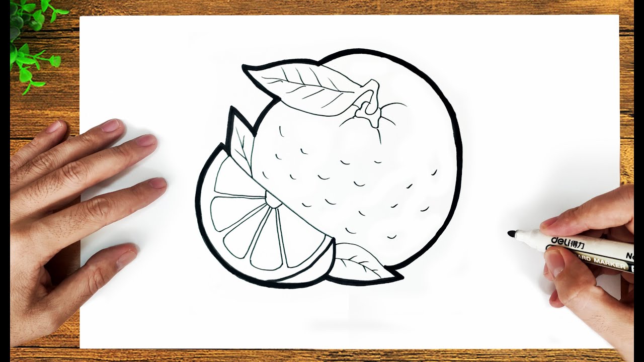How To Draw A Orange || Orange Drawing Easy || Step By Step 🍊 - YouTube