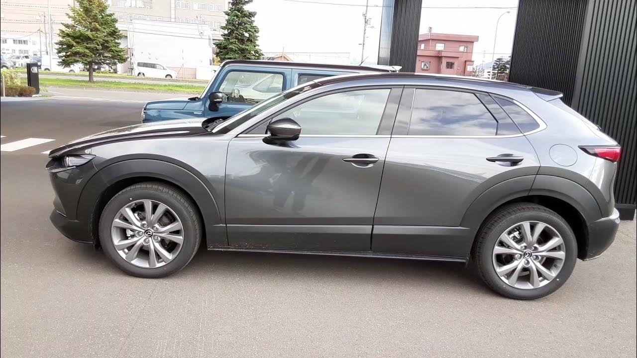 マツダCX-30ディーゼル四駆試乗レビュー - YouTube