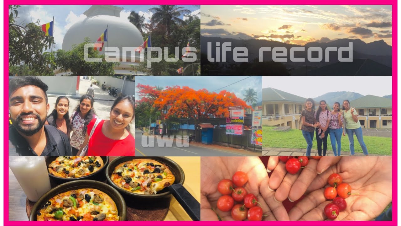 Uni life#6 | Campus life in Sri Lanka |කැම්පස් ජීවිතේ 👩‍🎓💚 Uva Wellassa ...