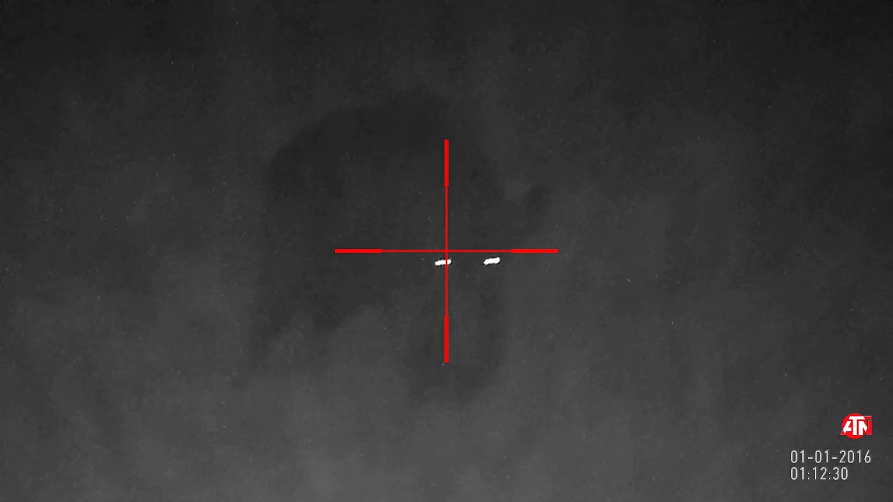 Big Razorback Hog - YouTube