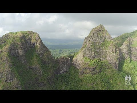 Forest Bathing | Mindful Moments | Hay House