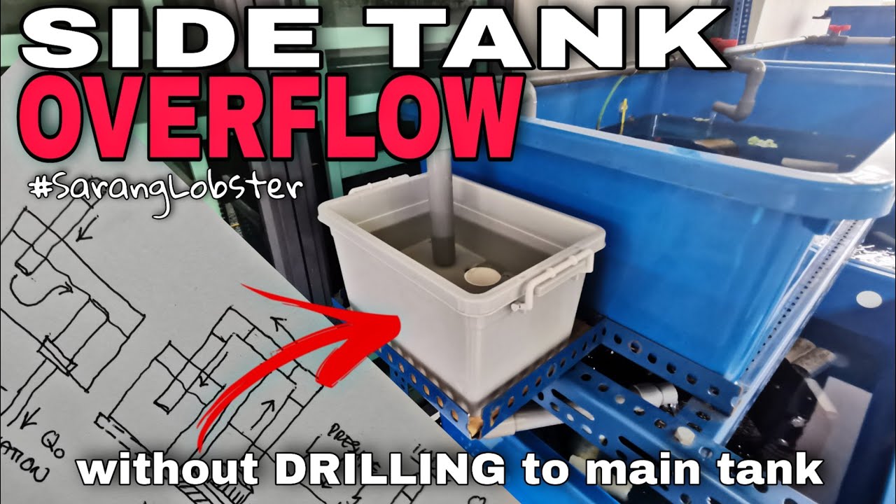 AQUARIUM | SIDE TANK OVERFLOW - without DRILLING main tank | simple and ...