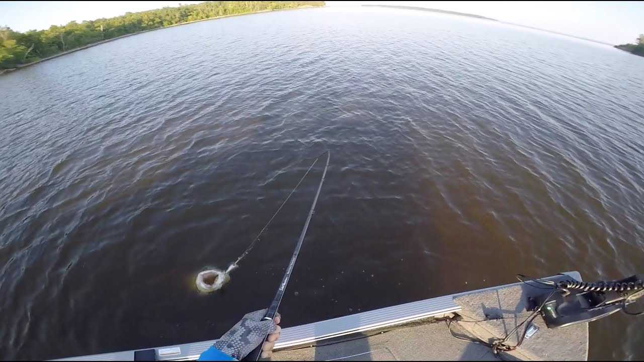 Angry Musky Head Shakes with the Black Series - Heavy Duty - YouTube