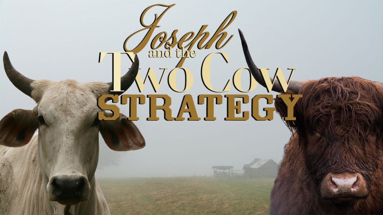 Joseph and the Two Cow Strategy - Pastor John Muratori - Calvary Life ...