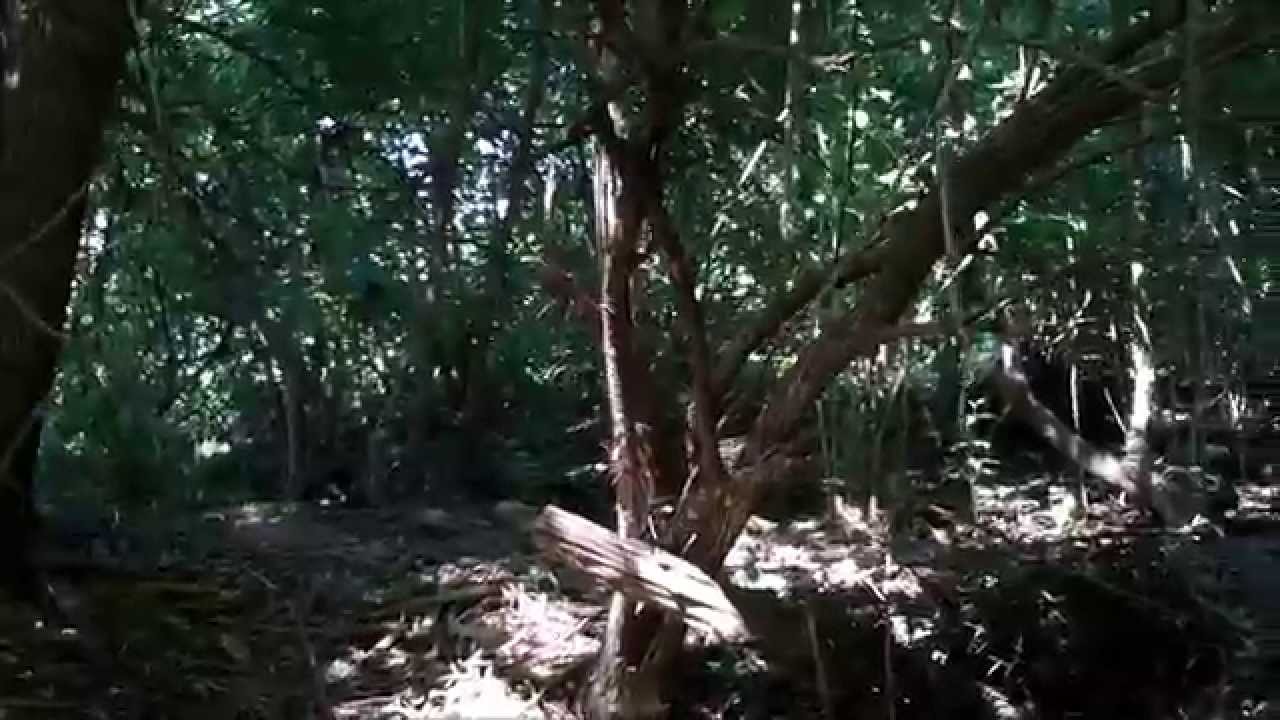 Tom Sawyer Project - YouTube