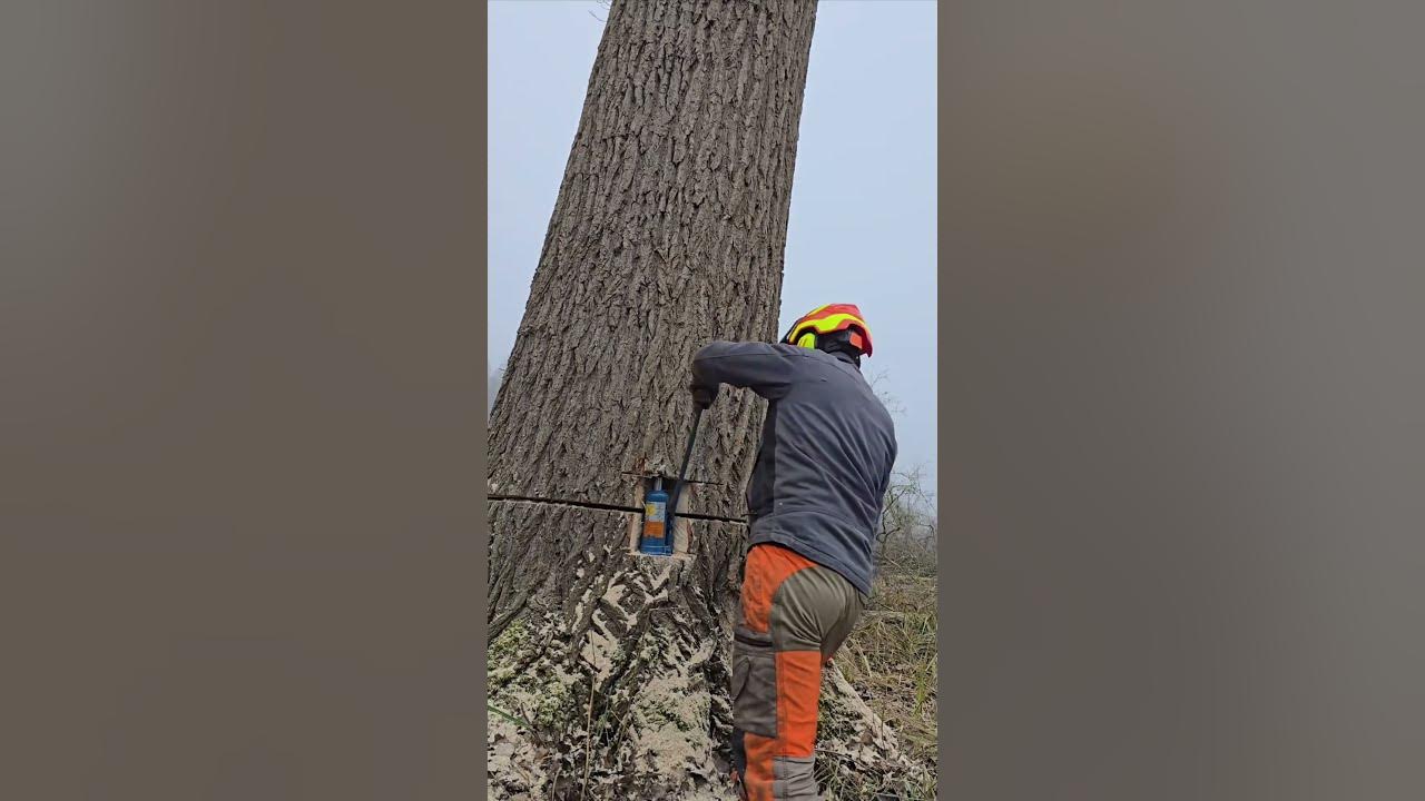 The intelligence of the logging operator - YouTube