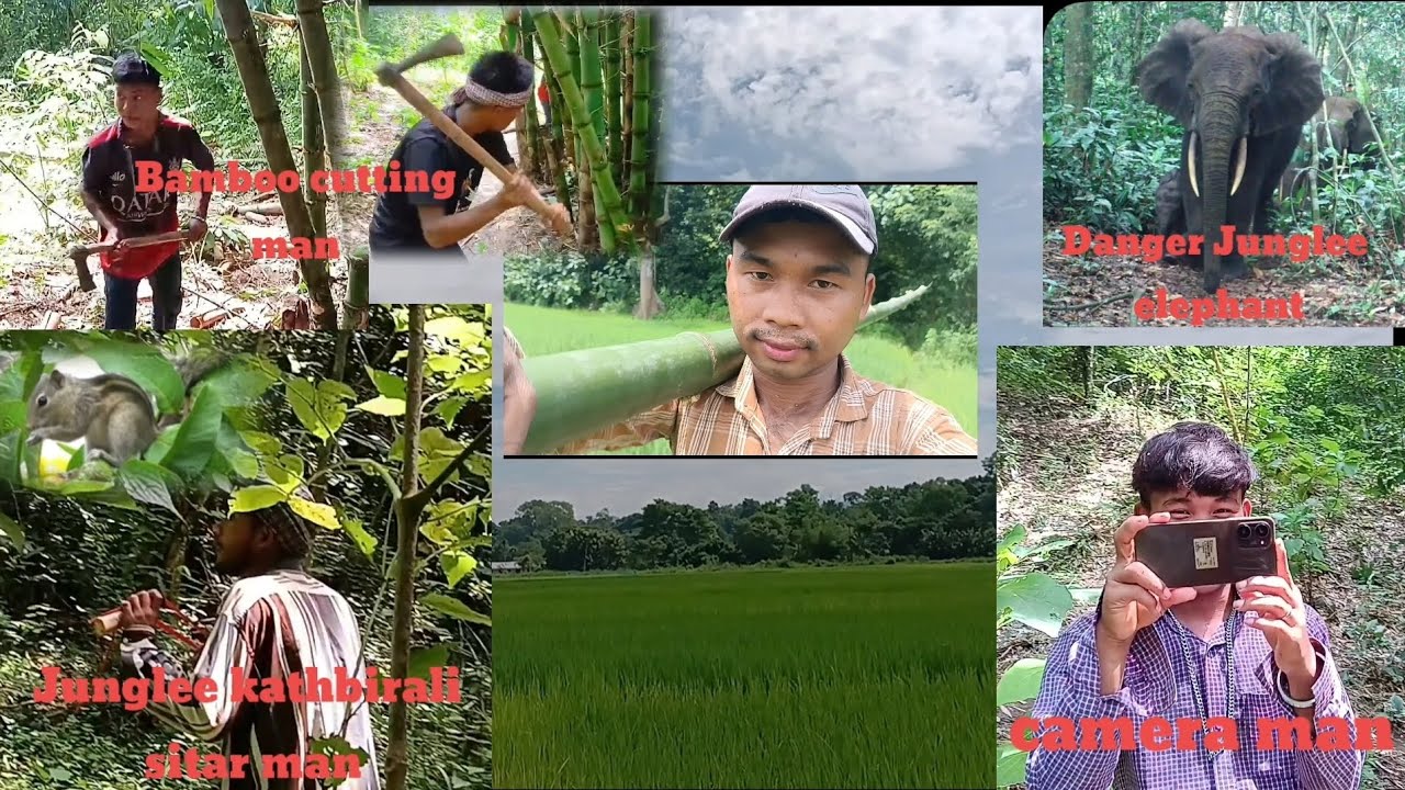 Bamboo cutting || New Ranju Rai Reang Official Vlog video - YouTube