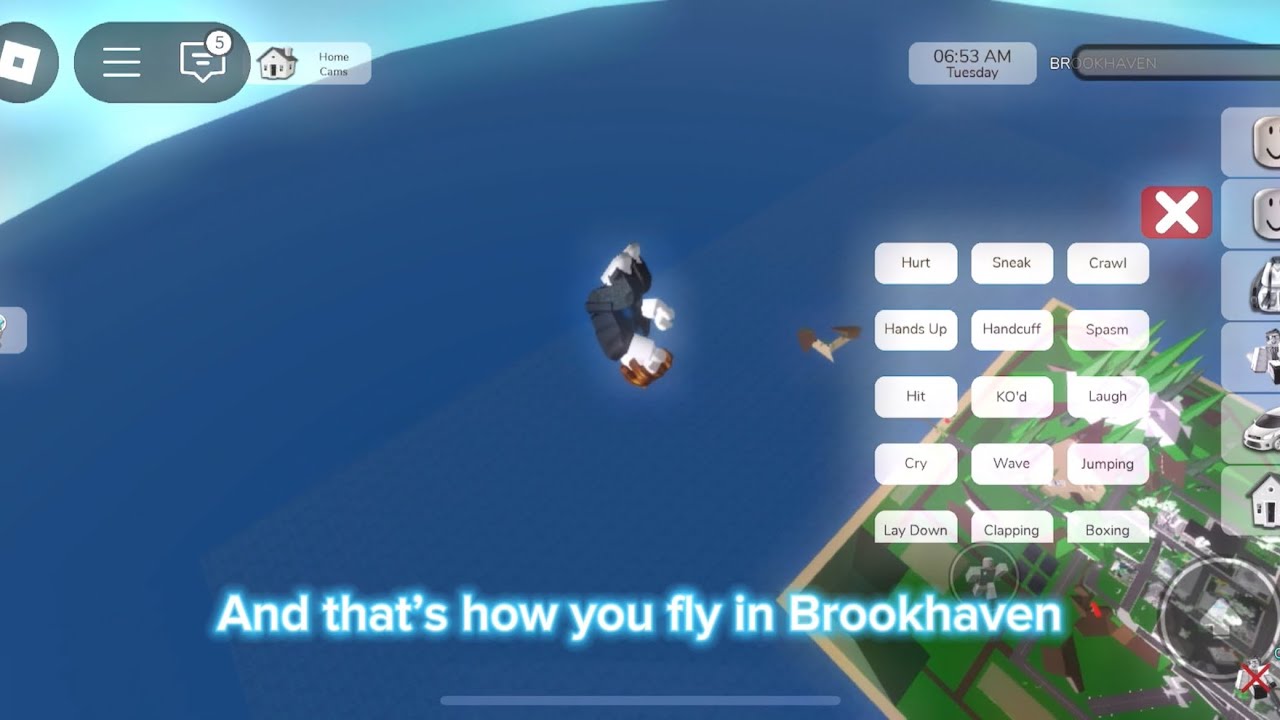 How to fly in Brookhaven #roblox - YouTube