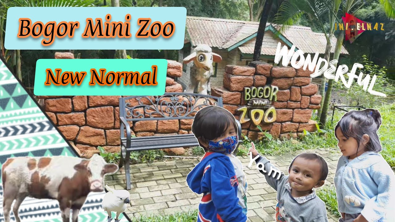 Kondisi Bogor Mini Zoo Saat New Normal 2020 - YouTube