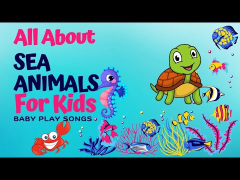 Sea Animal Song | Nursery Rhymes And Kids Song @Babyplaysongs - YouTube