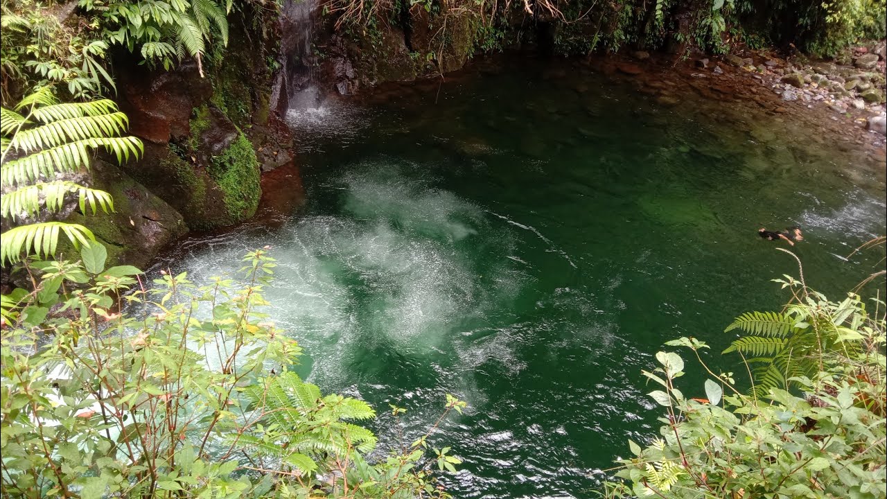 Tamayong falls - YouTube