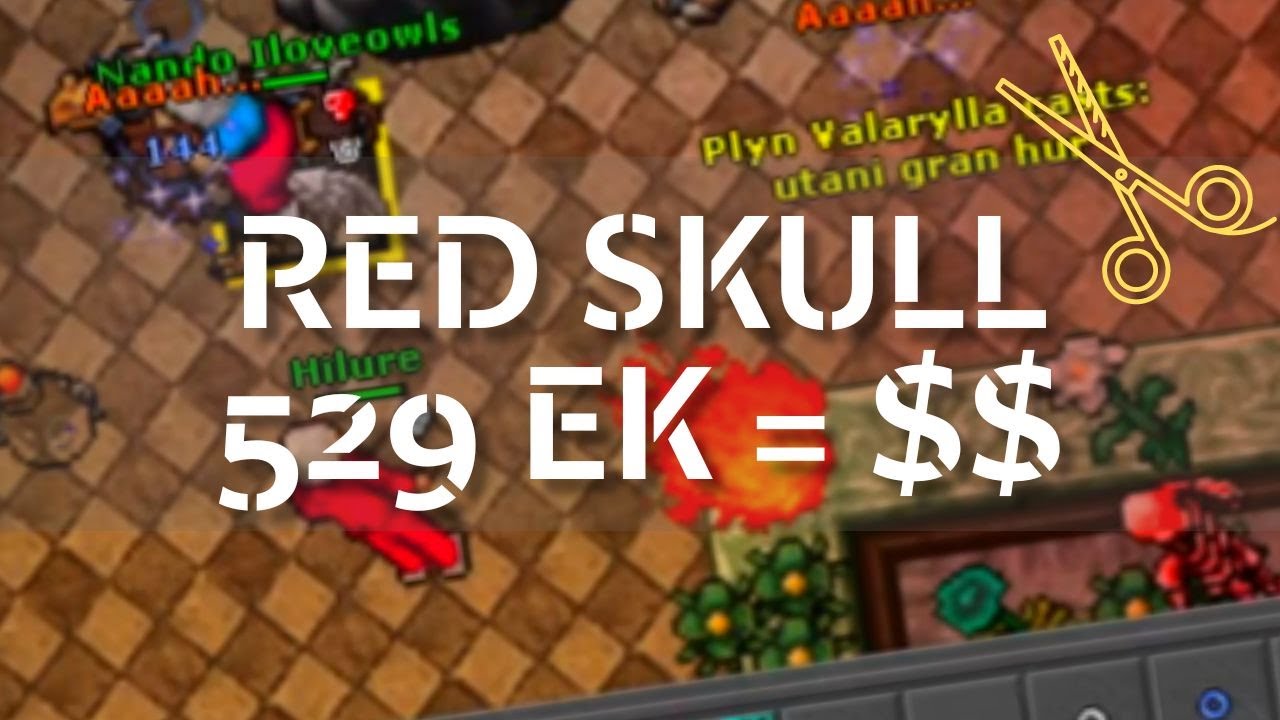 💀 ️ PROFIT NO RED SKULL 529| TIBIA PK CORTE - YouTube