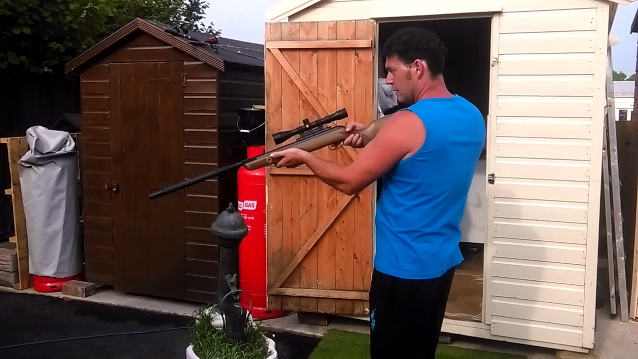 Welsh Gypsy romani Gun Shot a fly off the target no joke 🐝🐜🐛🐌🐞 - YouTube