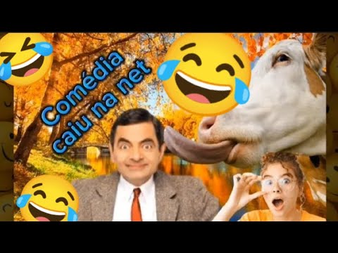 vídeos engraçados CAIU NA NET @Comediacaiunanett