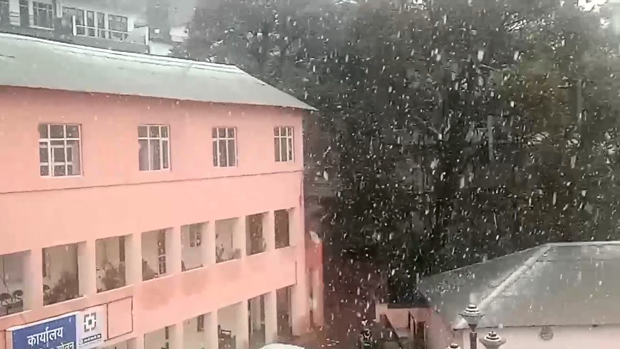 Snowfall in Solan of Himachal Pradesh - YouTube
