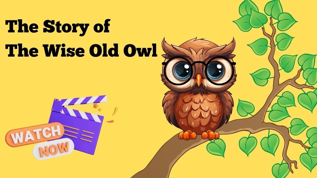 The Story Of The Wise Old Owl | Short Story | Estoryforkids - YouTube