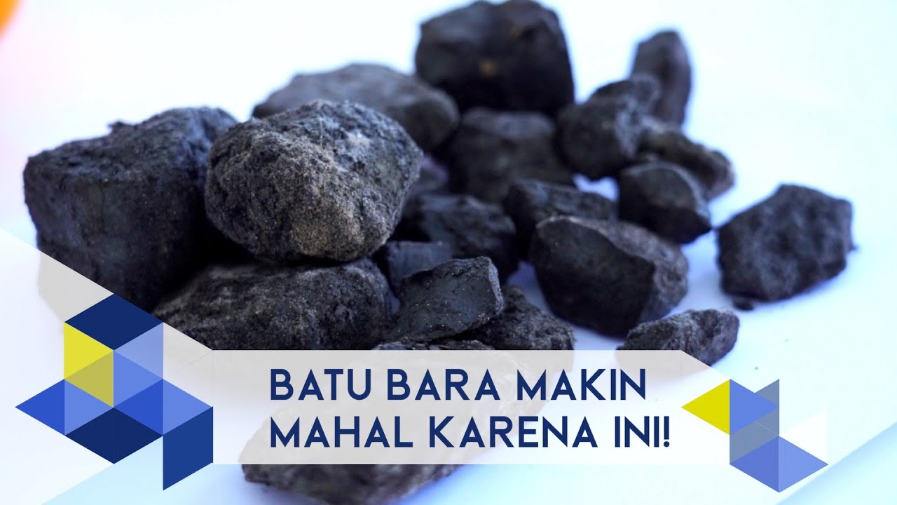 IPB Pedia: Batu Bara Kelas Rendah Naik Kelas - YouTube