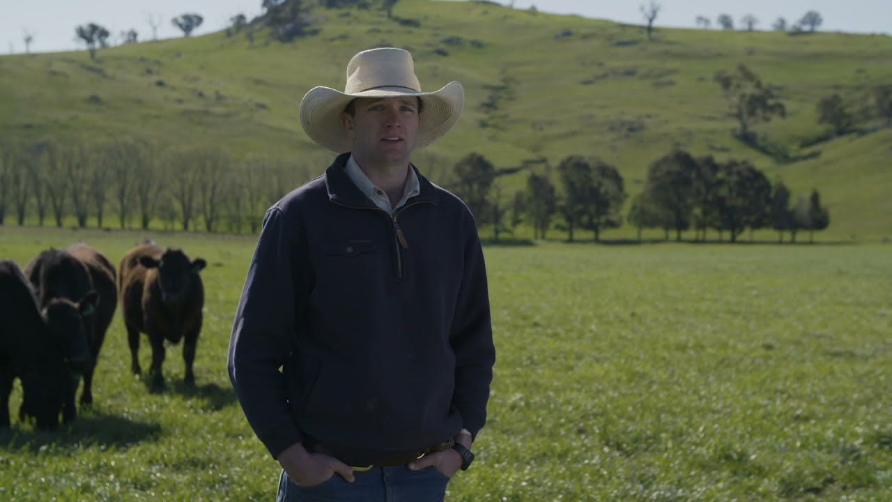 Stuart Tait, Beef Producer, NSW - antibiotic use - YouTube