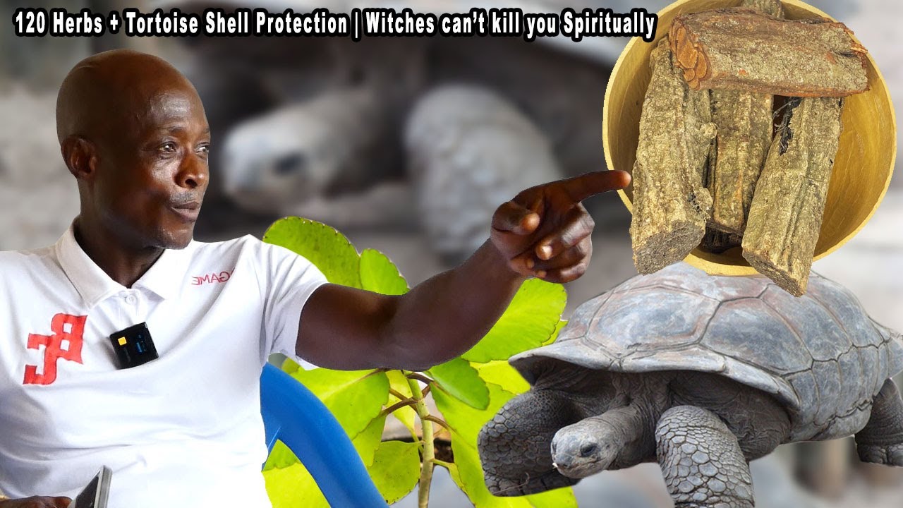 This protection contains 120 herbs, wild animals & tortoise, Say No ...