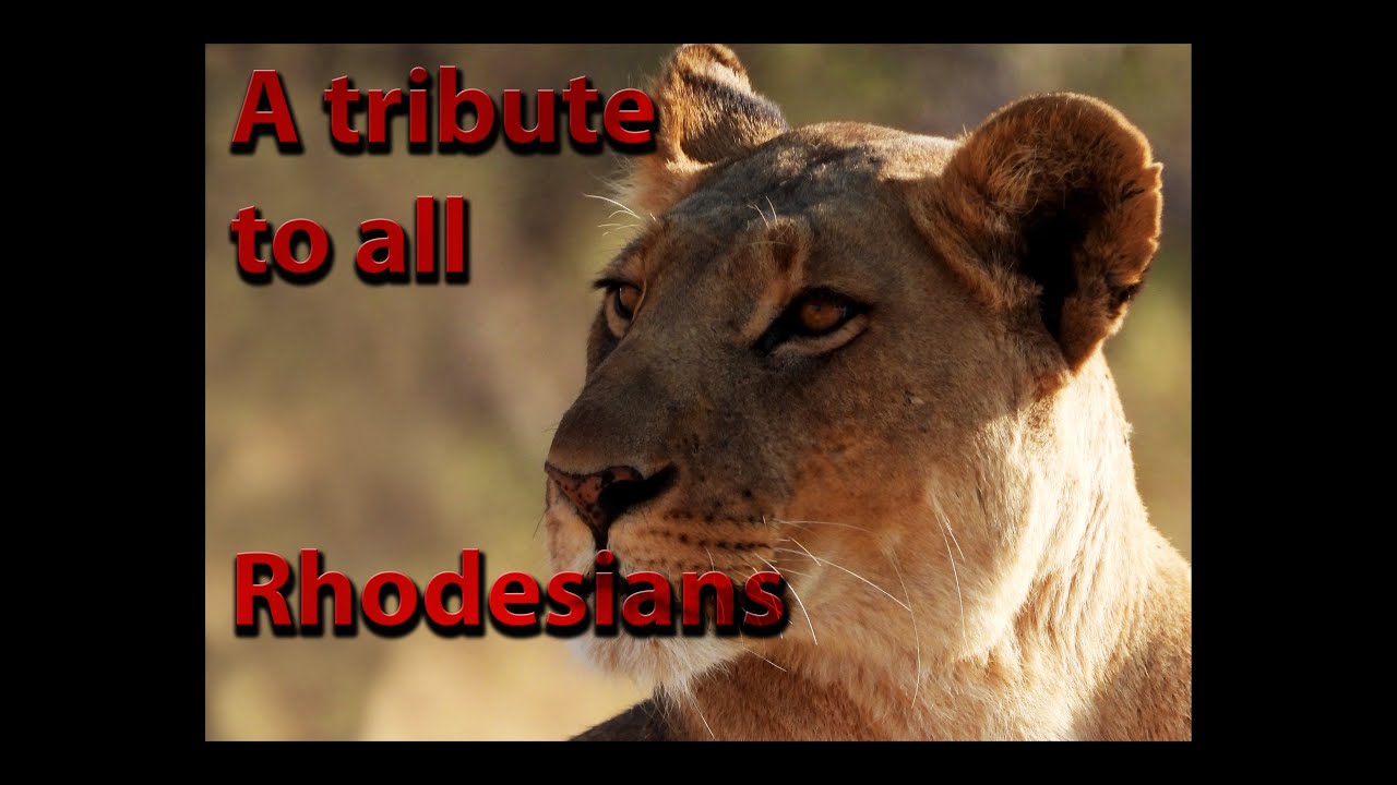Tribute to all Rhodesians - YouTube
