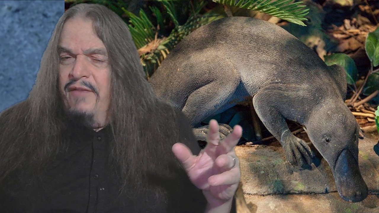 Evolution of Prototheria - YouTube