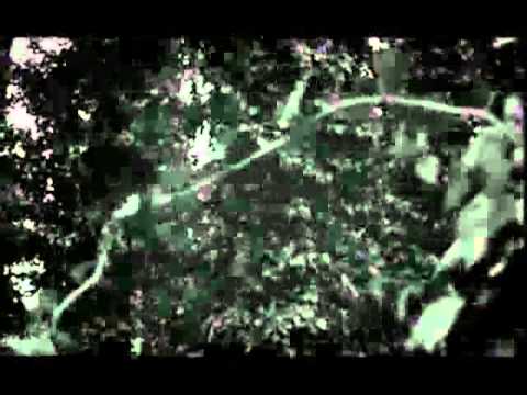 Gökhan Özen   Öldürür Sevdan Klip