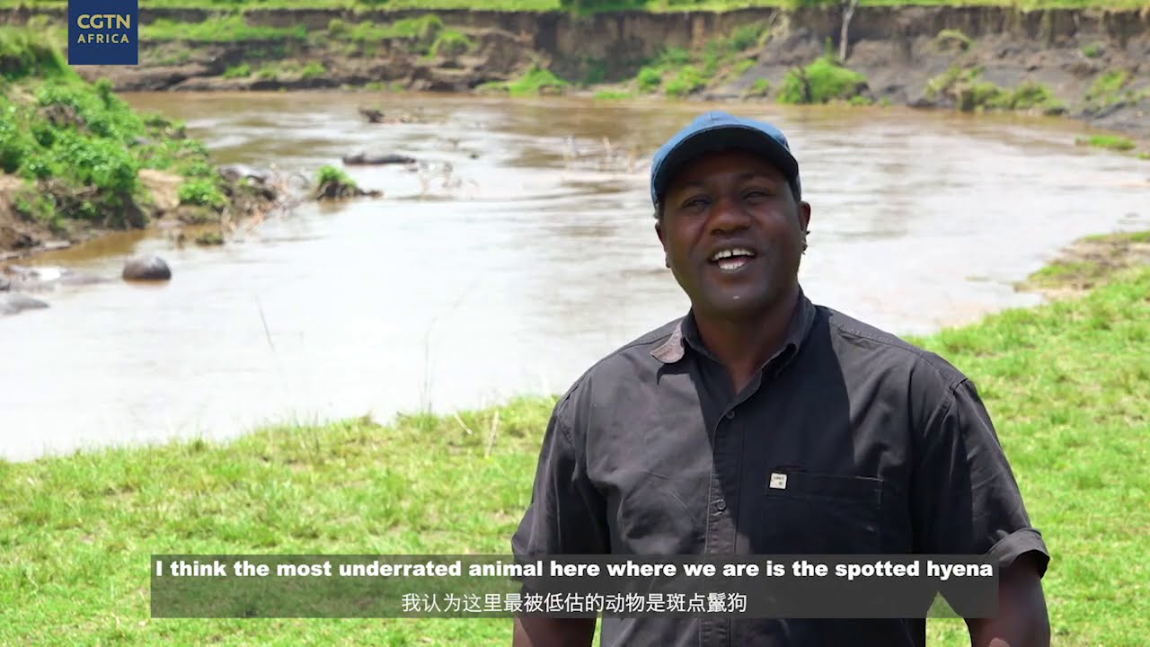 Q&A with Digital Safari guide Isaac Rotich - YouTube