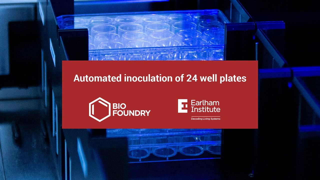 Earlham Institute Bio Foundry - Automated inoculation of 24 well plates ...