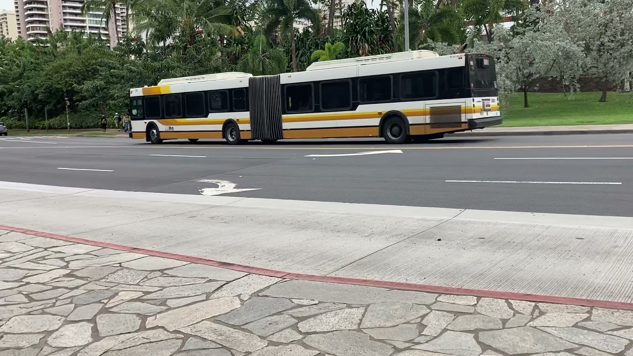 TheBus Route 20, Bus 130 & Route 42, Bus 111 - YouTube