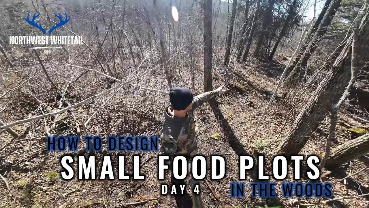 how to design small food plots in the woods - YouTube