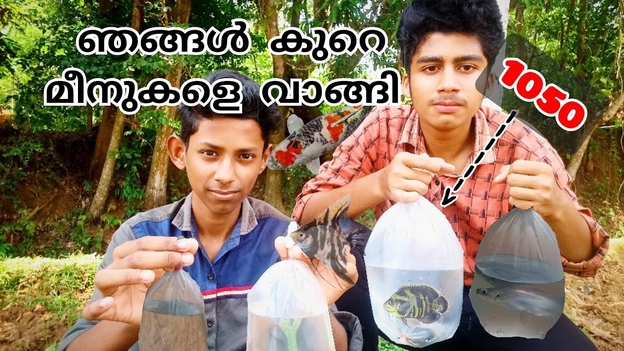ഞങ്ങൾ കുറേ.... മീനുകൾ വാങ്ങി വിവിധതരം മീനുകൾ😱/Tech maker vlog - YouTube