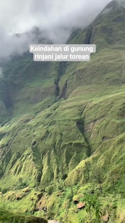 Tukang ulin‼️Keindahan gunung rinjani di jalur torean #rinjani #torean - YouTube