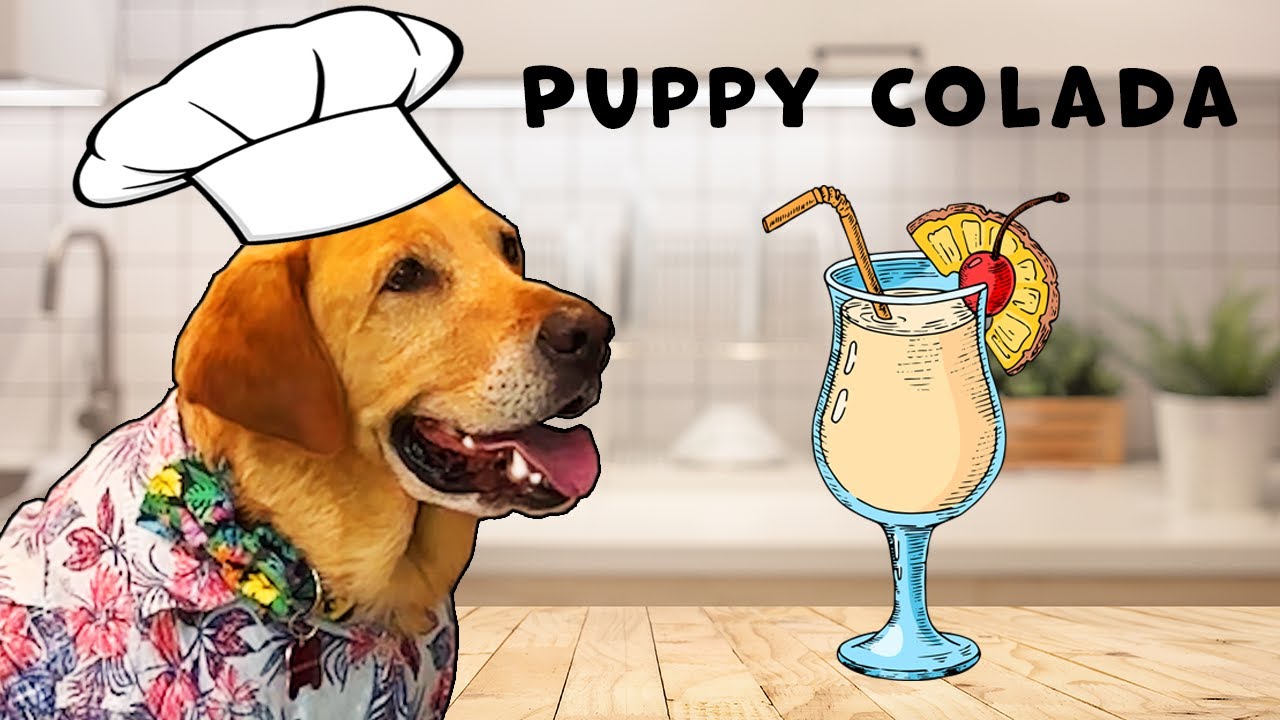 Pina Coladas for Humans and Dogs - YouTube
