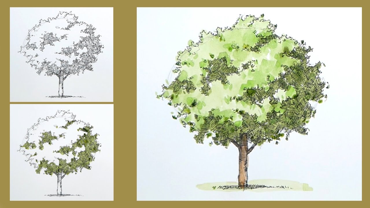 [Pen + Watercolor] Tree - Basic Urban Sketch (pen drawing & color ...
