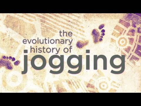 The evolutionary history of jogging - Evolution in the News - YouTube