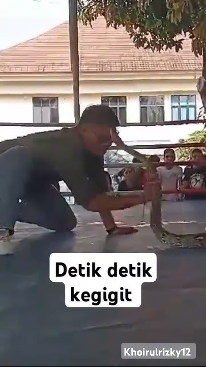 Ularpiton Ularsancakembang Python Bite Luka Fyp Fypシ゚viral Viralvideo Viralshorts Youtube