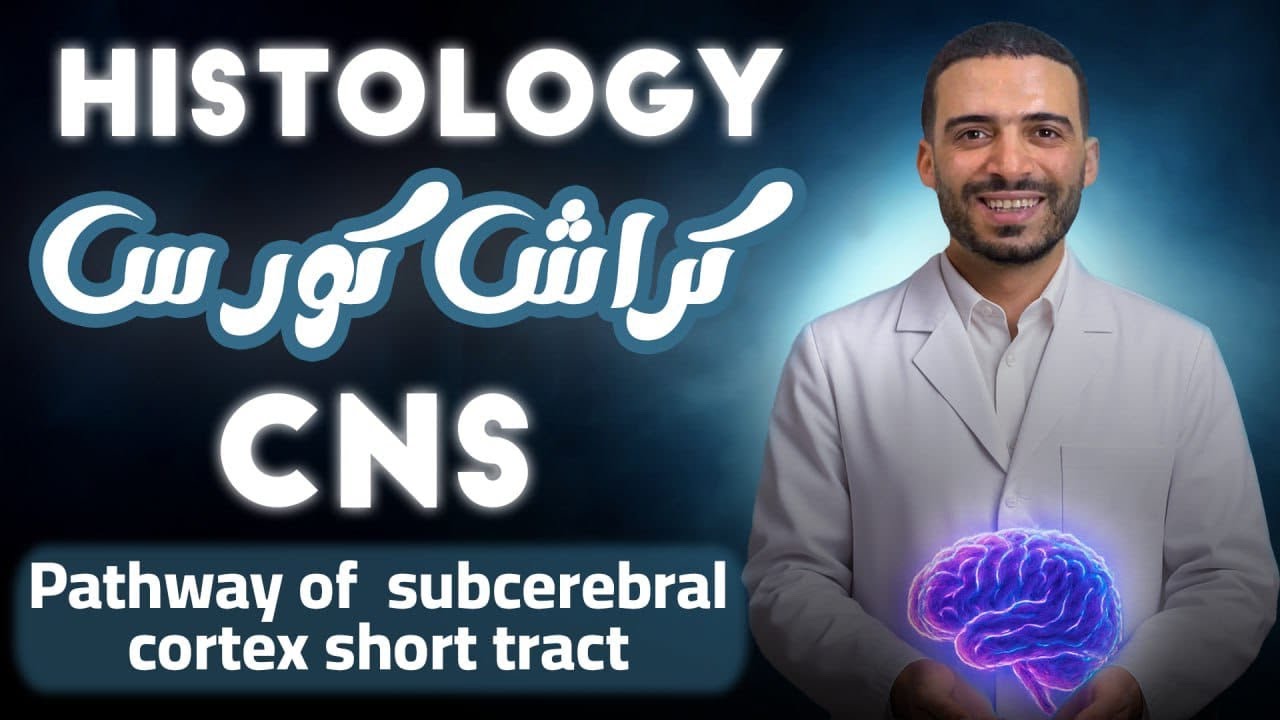 CNS pathway of sub cerebral cortex short tract | histology | dr kandeel ...