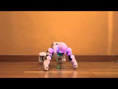Robot doing push ups - YouTube