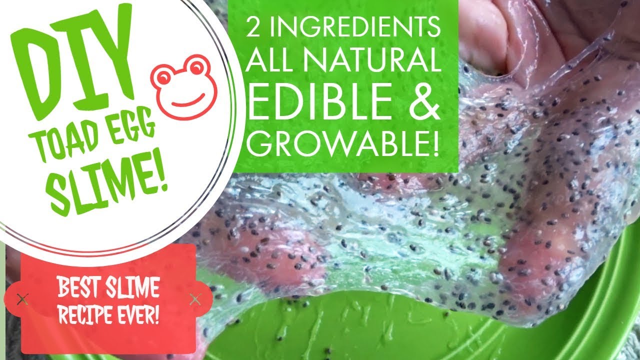 DIY Make Your Own Edible Slime! All Natural & GROWABLE! Toad Eggs Ewww ...