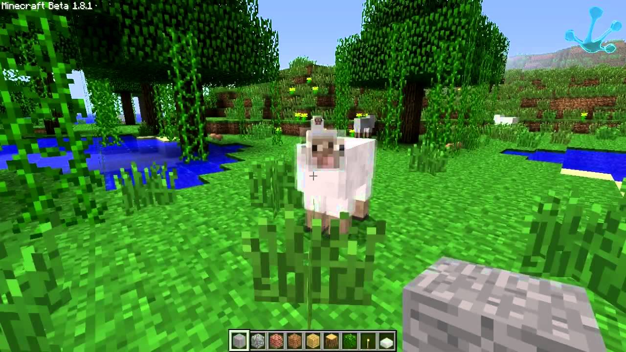 Minecraft · Documental de la oveja - YouTube