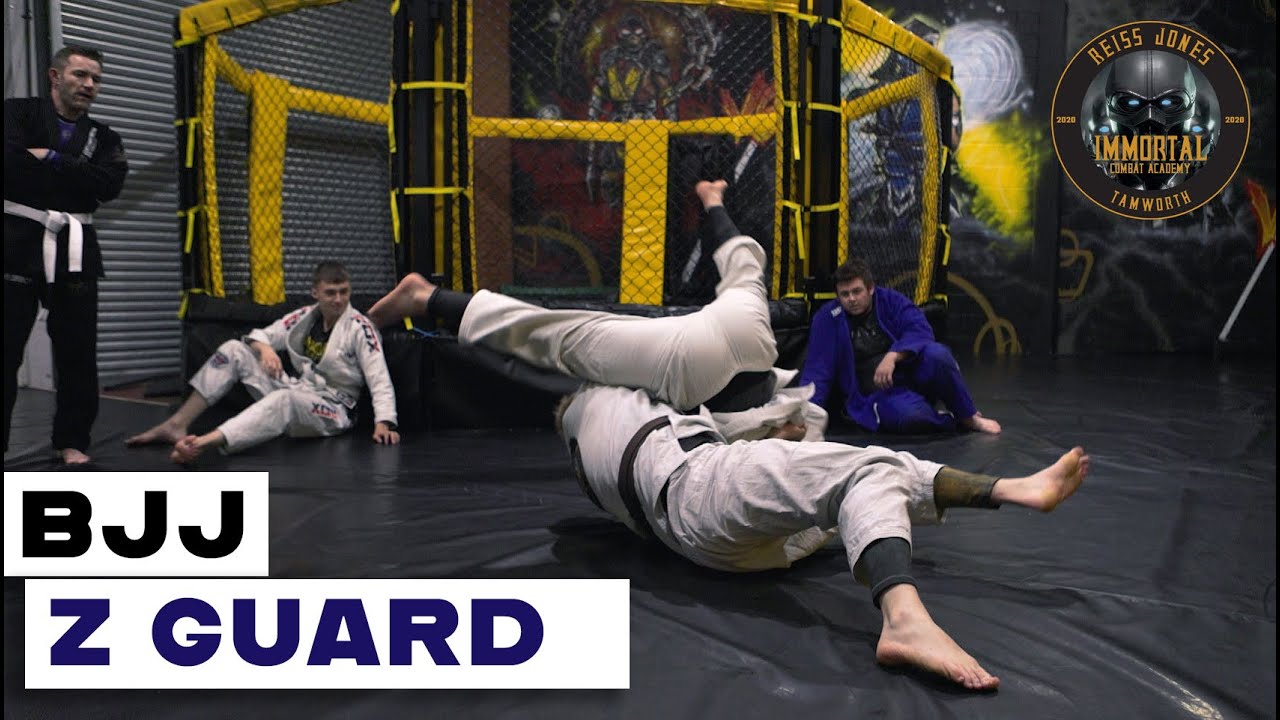 Immortal VLOG #1 - BJJ - Underhook from Z Guard. - YouTube