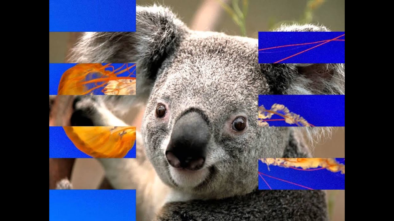 Electro music/ clapply w/slideshow - YouTube